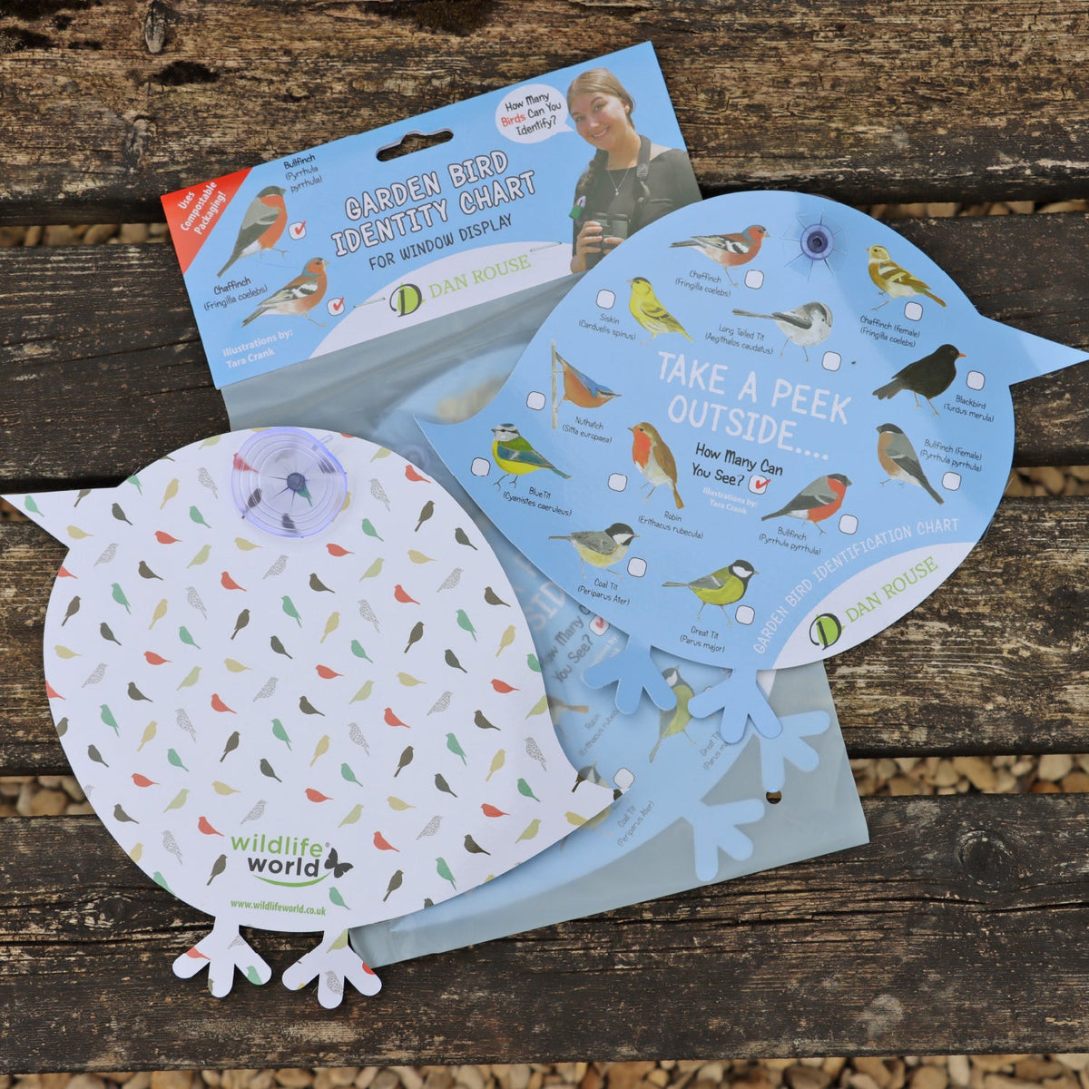 Dan Rouse Bird Identity Chart | The Wildlife Community