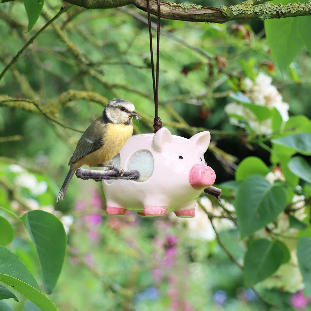 Hanging Ceramic Pig With Nesting Wool | The Wildlife Community