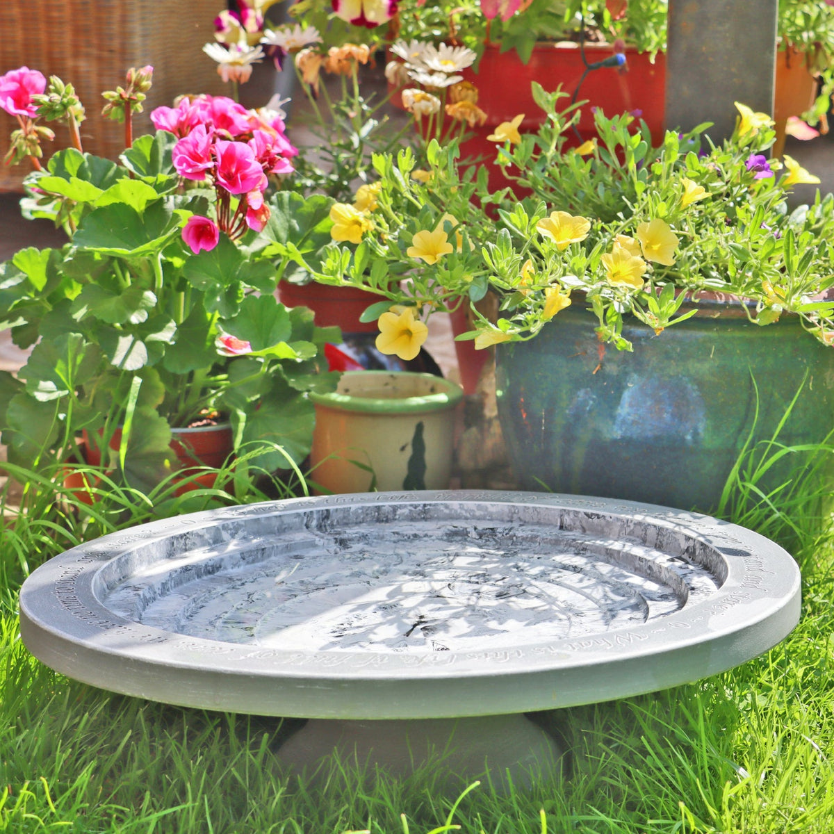 Shenstone Theatre Bird Bath and Drinker | Wildlife World