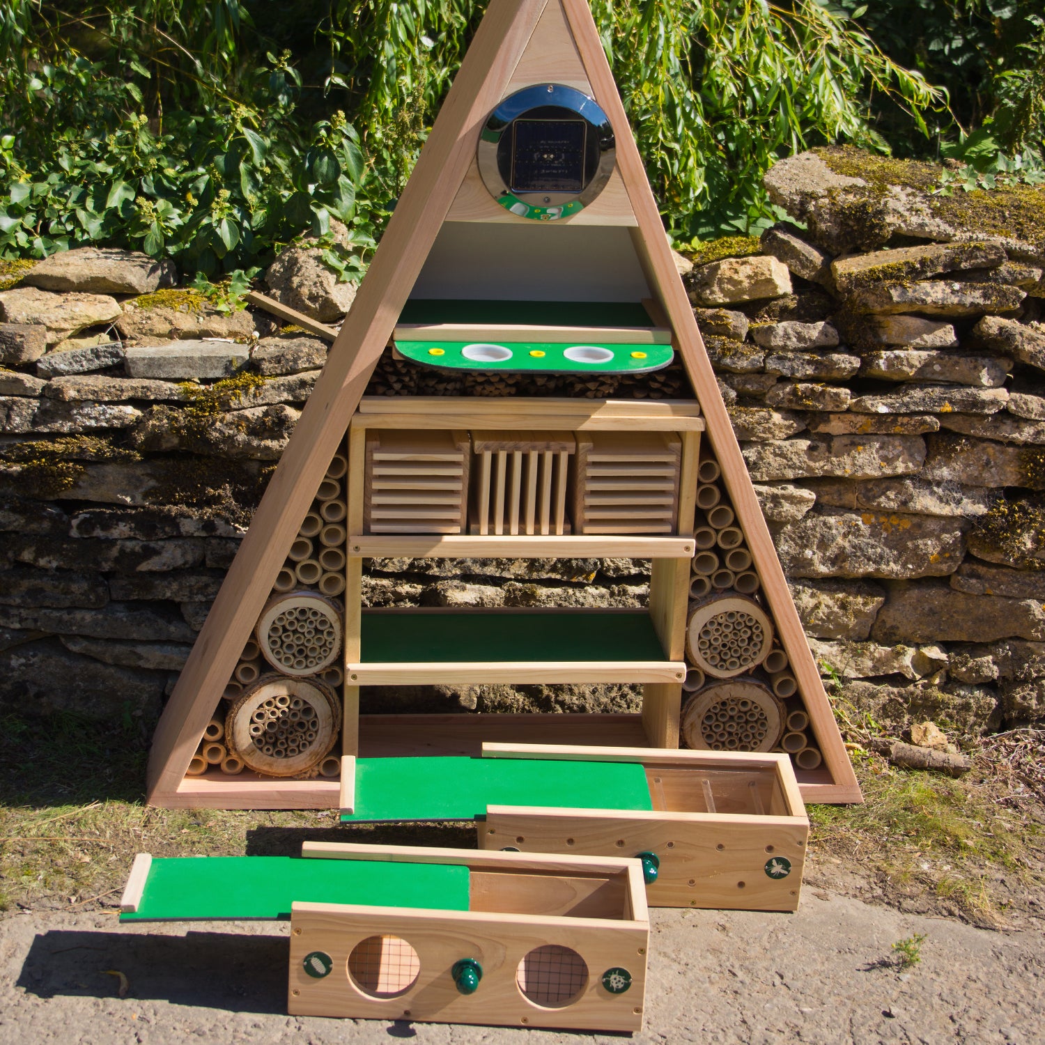 Educational Pyramid Insect Habitat | Wildlife World