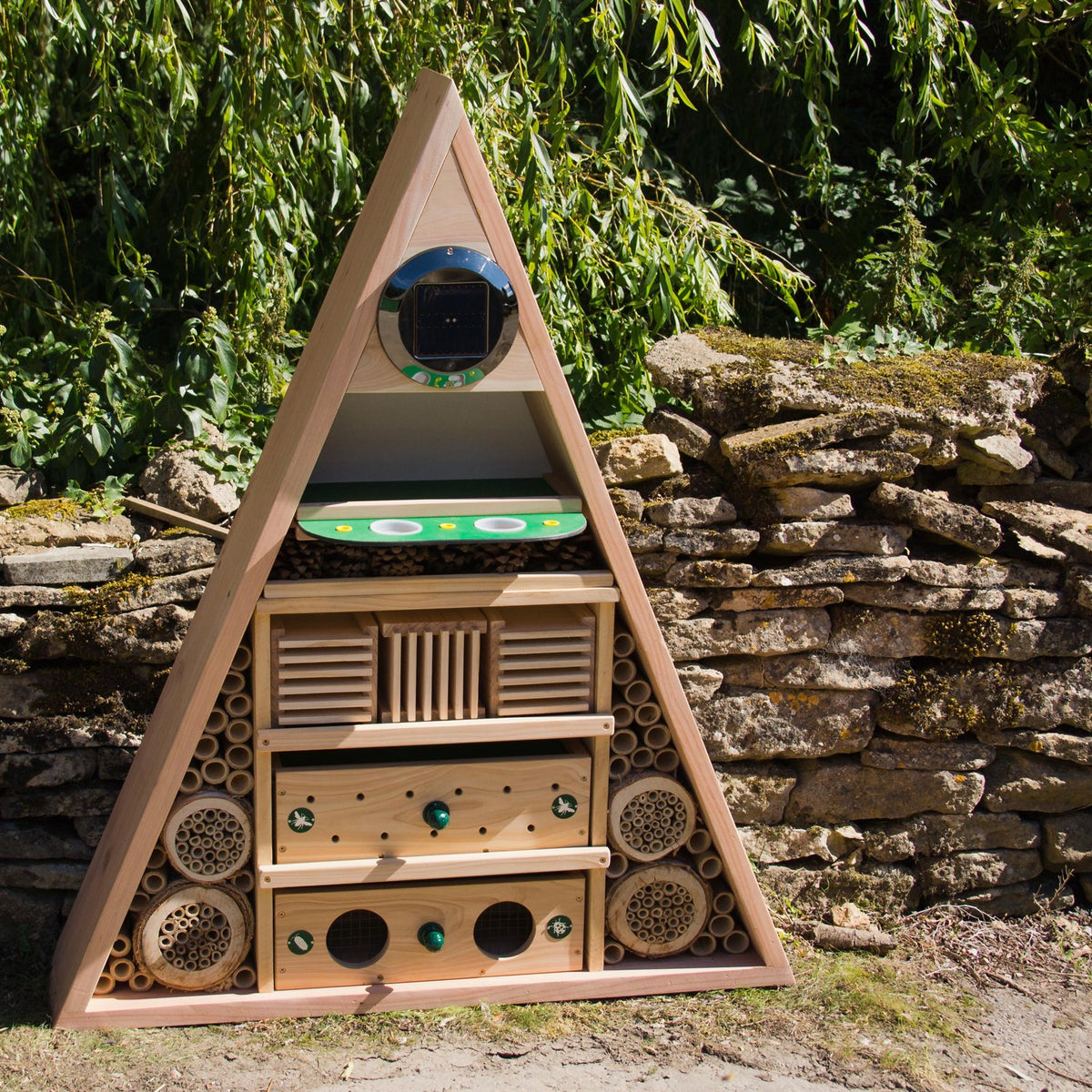 Educational Pyramid Insect Habitat | Wildlife World