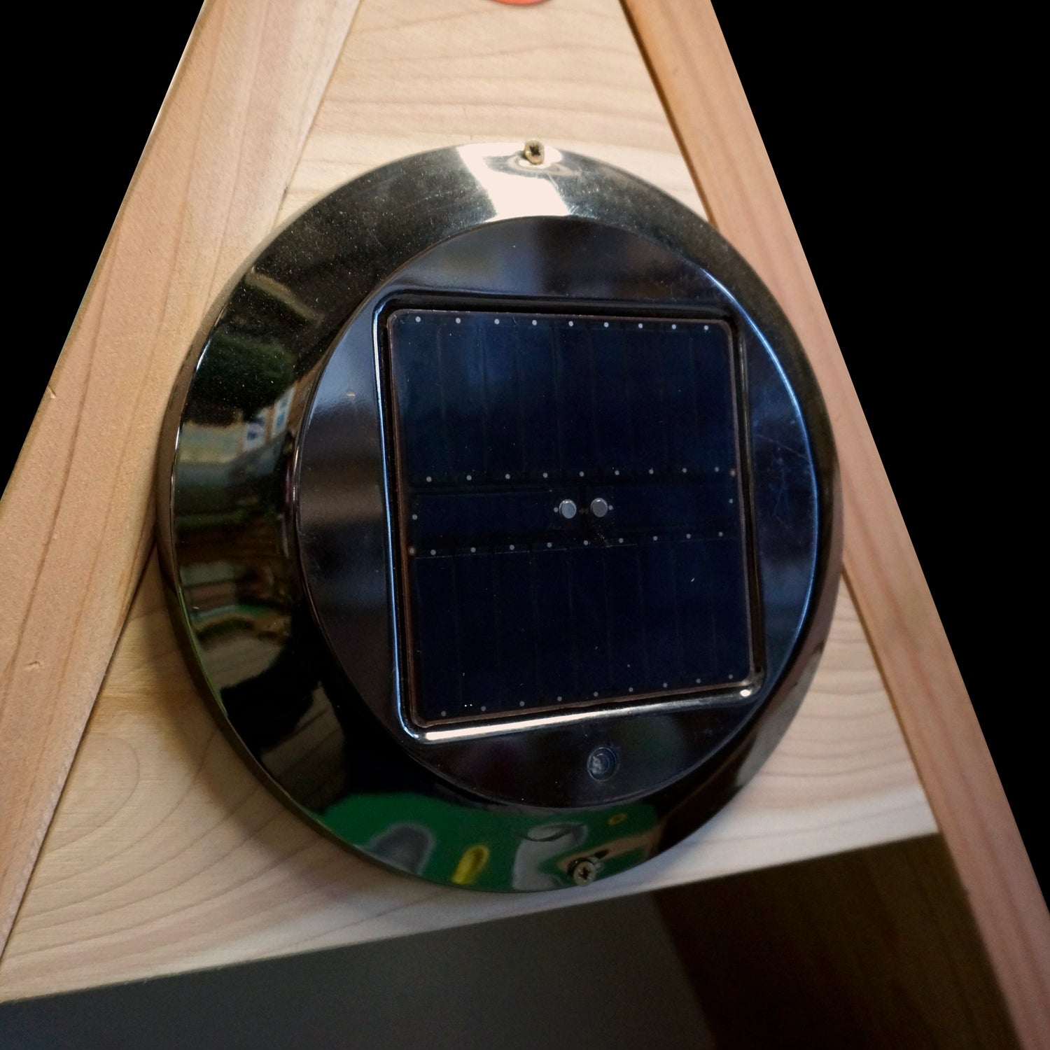 Educational Pyramid Insect Habitat | Wildlife World