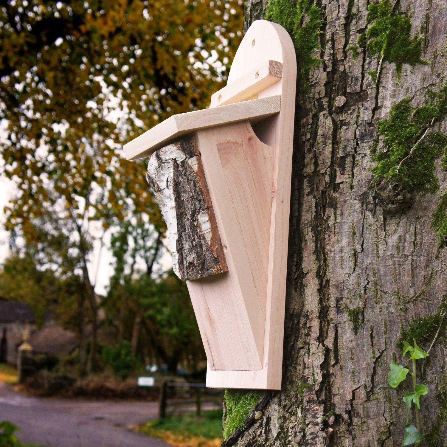 Tree Creeper Bird Box | Wildlife World